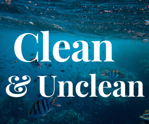 Clean and Unclean – My blog